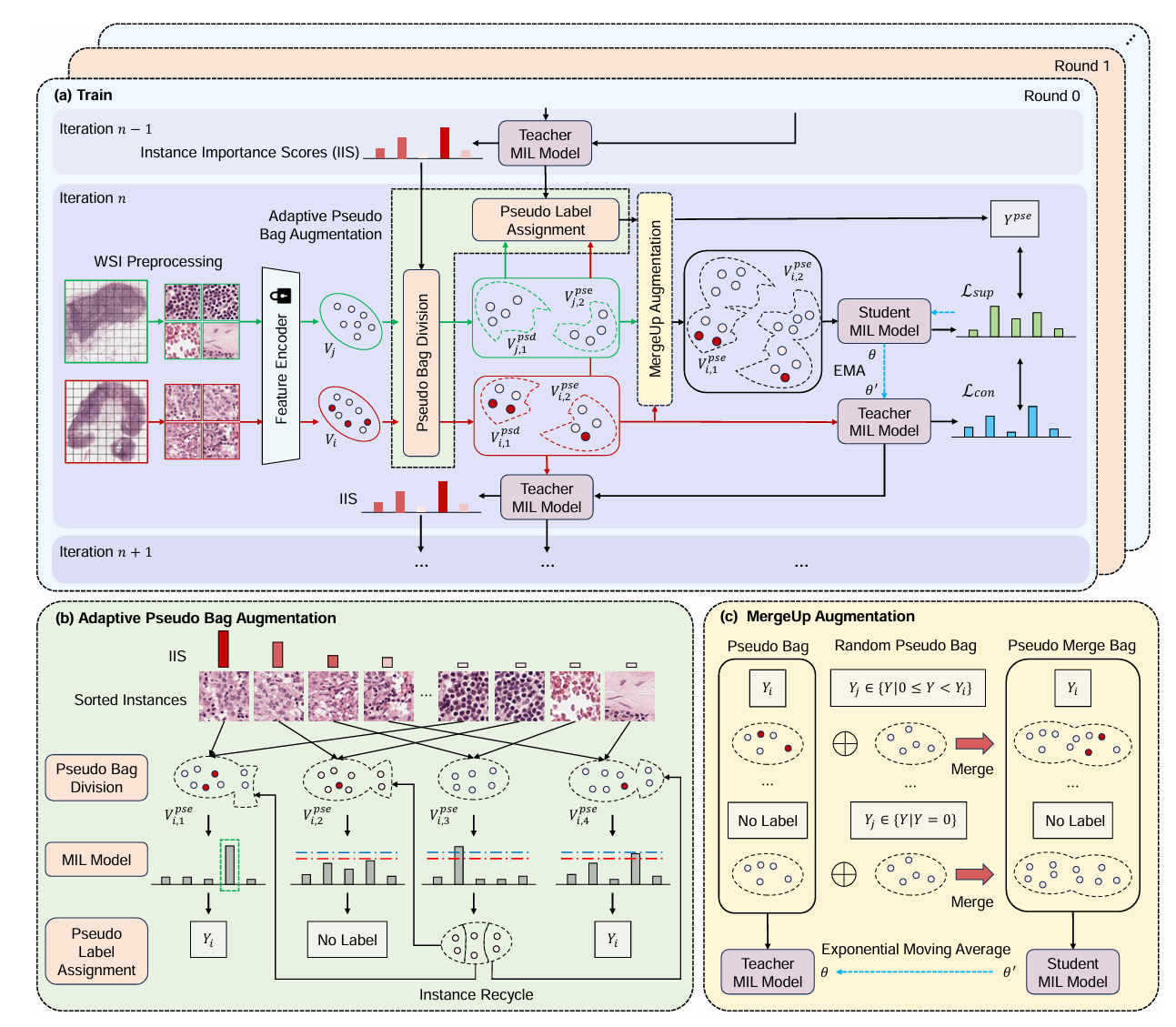Homepage - Xitong Ling's Home Page